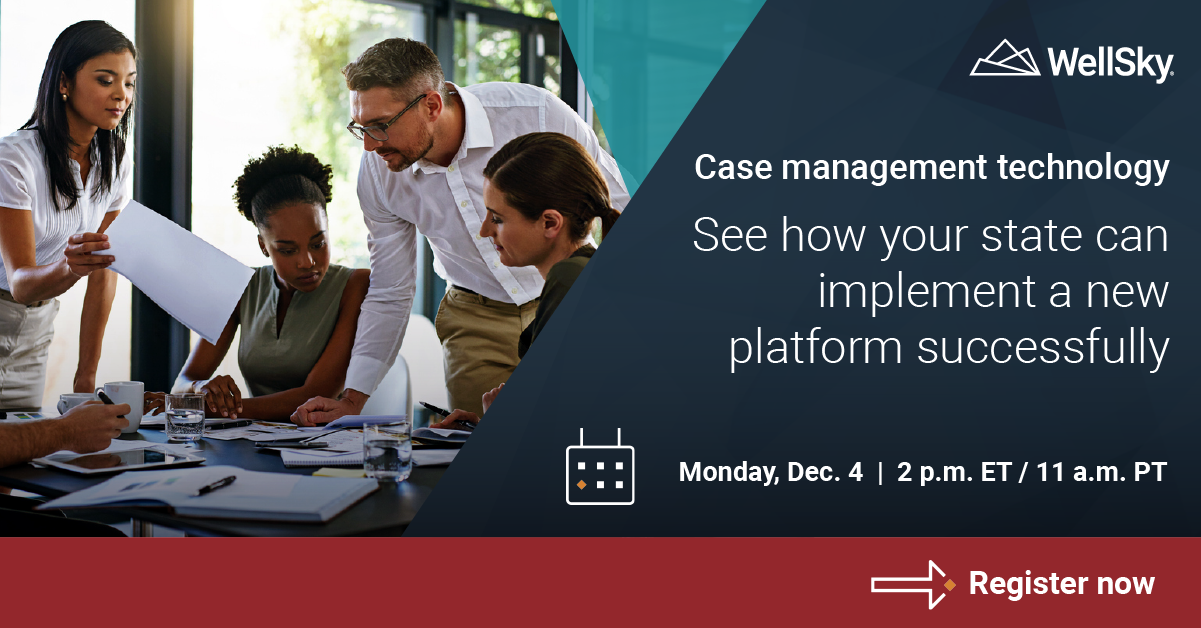 Webinar: Best practices when implementing state IT projects